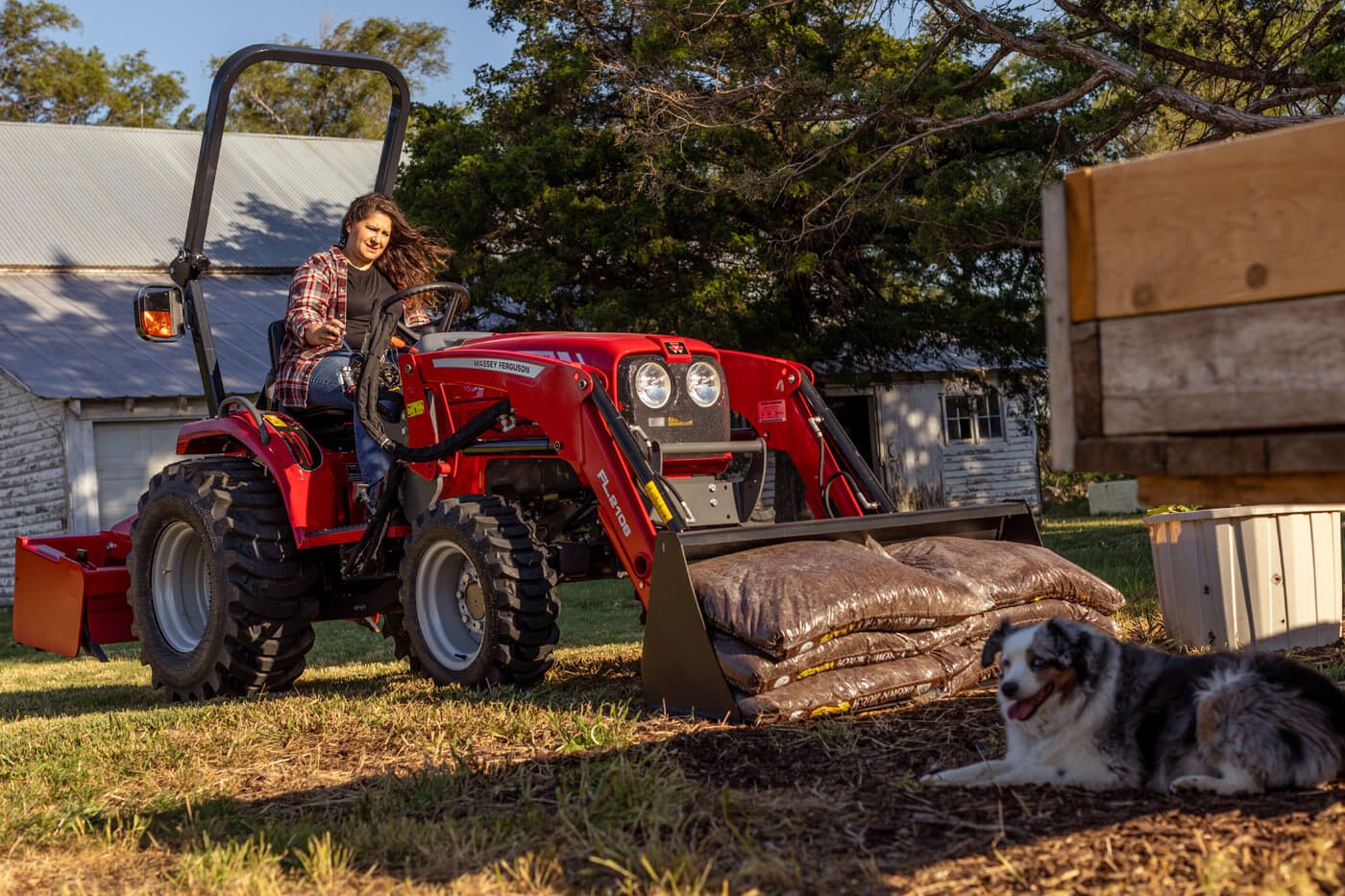 Massey Ferguson 1M.25H Compact Tractor – Loader – Hydro – Haney ...